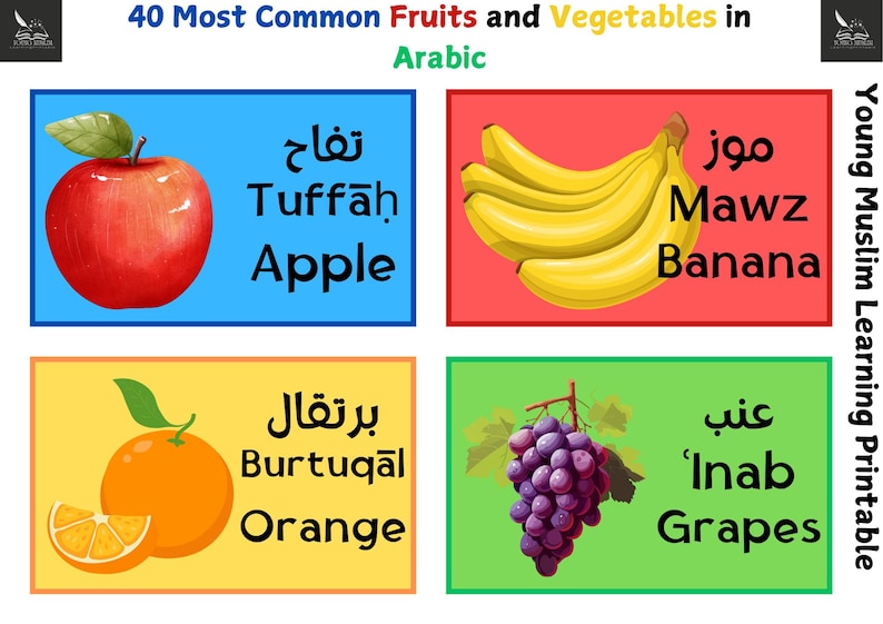 Arabic Fruits & Vegetables Flashcards: Bilingual Learning Tool (digital ...