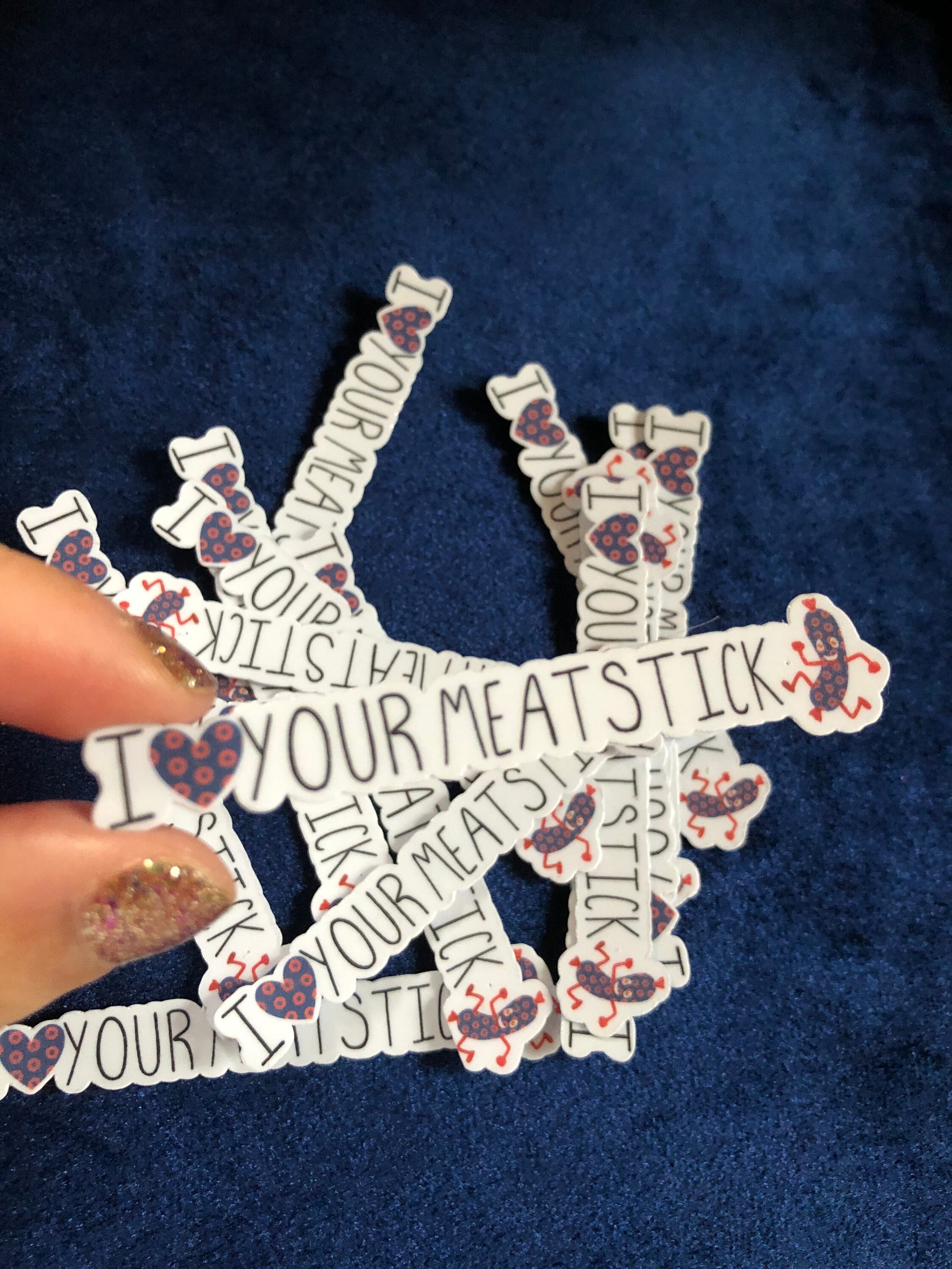 Phish Stickers Funny Phish Gift I Love Your Meatstick | Etsy