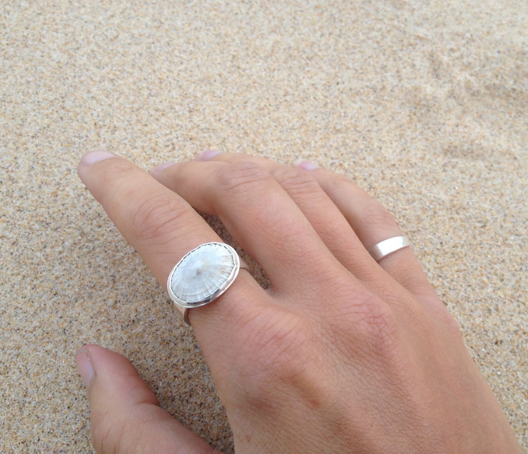 Shell Ring White Limpet Shell Ring Made of Sterling Silver - Etsy