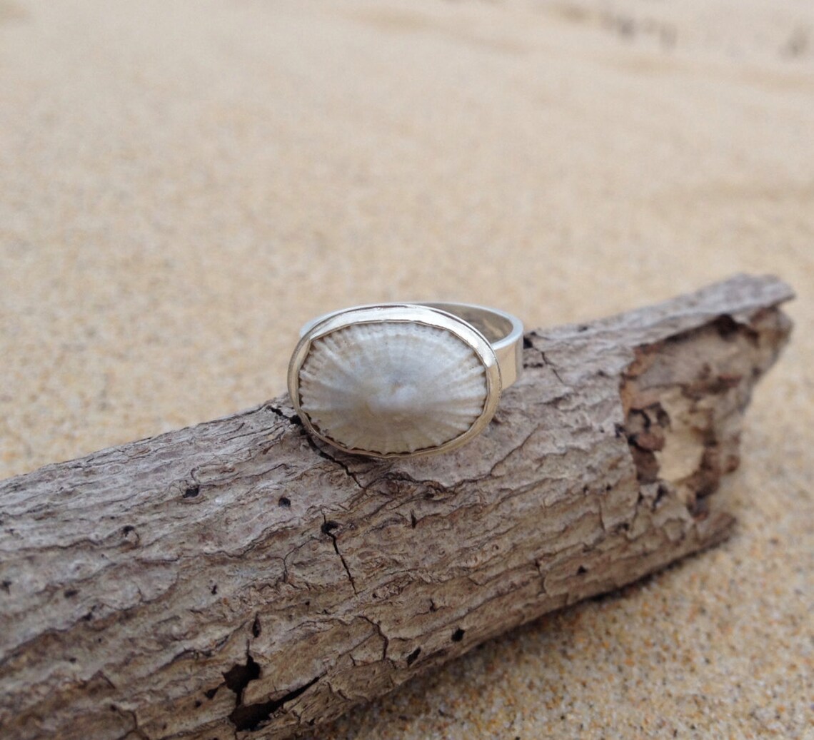 Shell Ring White Limpet Shell Ring Made of Sterling Silver - Etsy