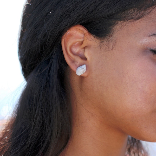 Periwinkle Shell - Etsy