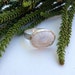 Shell Ring White Limpet Shell Ring Made of Sterling Silver - Etsy