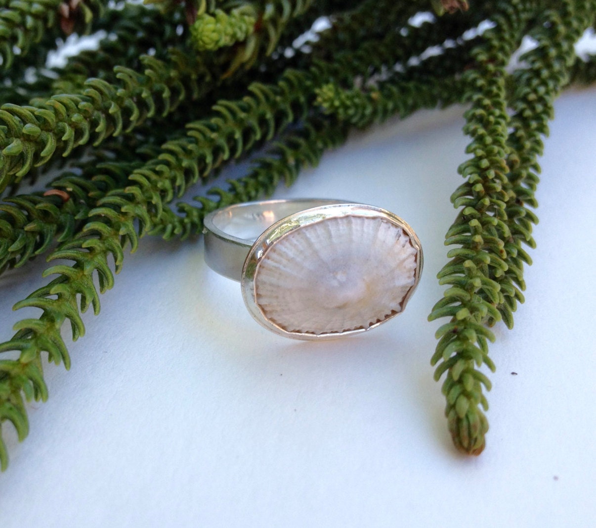Shell Ring White Limpet Shell Ring Made of Sterling Silver - Etsy