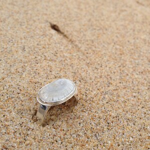 Shell Ring White Limpet Shell Ring Made of Sterling Silver - Etsy