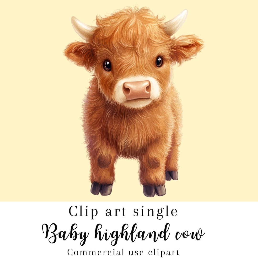 Baby Hooglandkoe Clipart, Schattige Koe Clipart, Boerderij Clipart ...