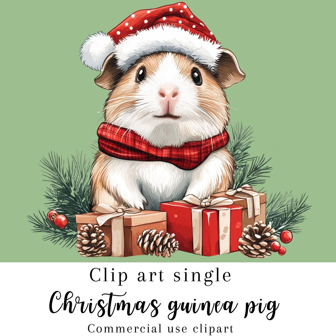 Christmas Guinea Pig Clipart, Christmas Png, Guinea Pig Christmas ...