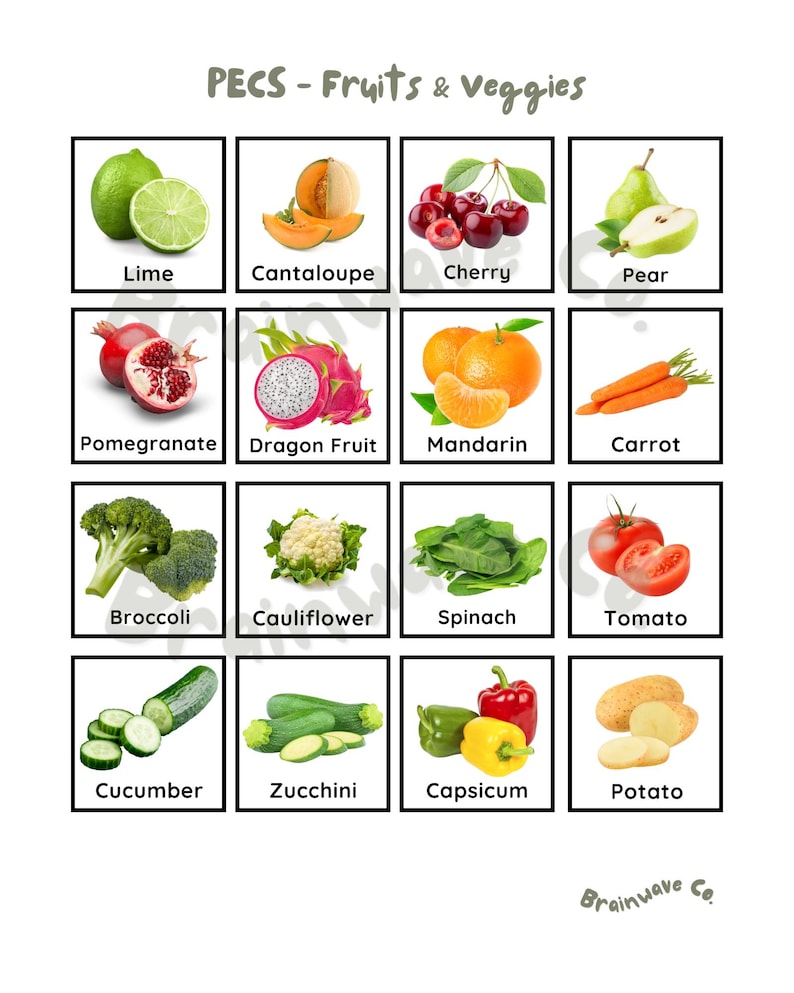 PECS Fruits & Veggies - Etsy