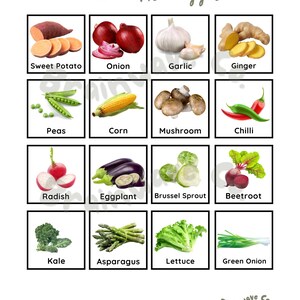 PECS Fruits & Veggies - Etsy