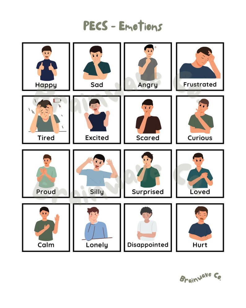 PECS Emotions - Etsy