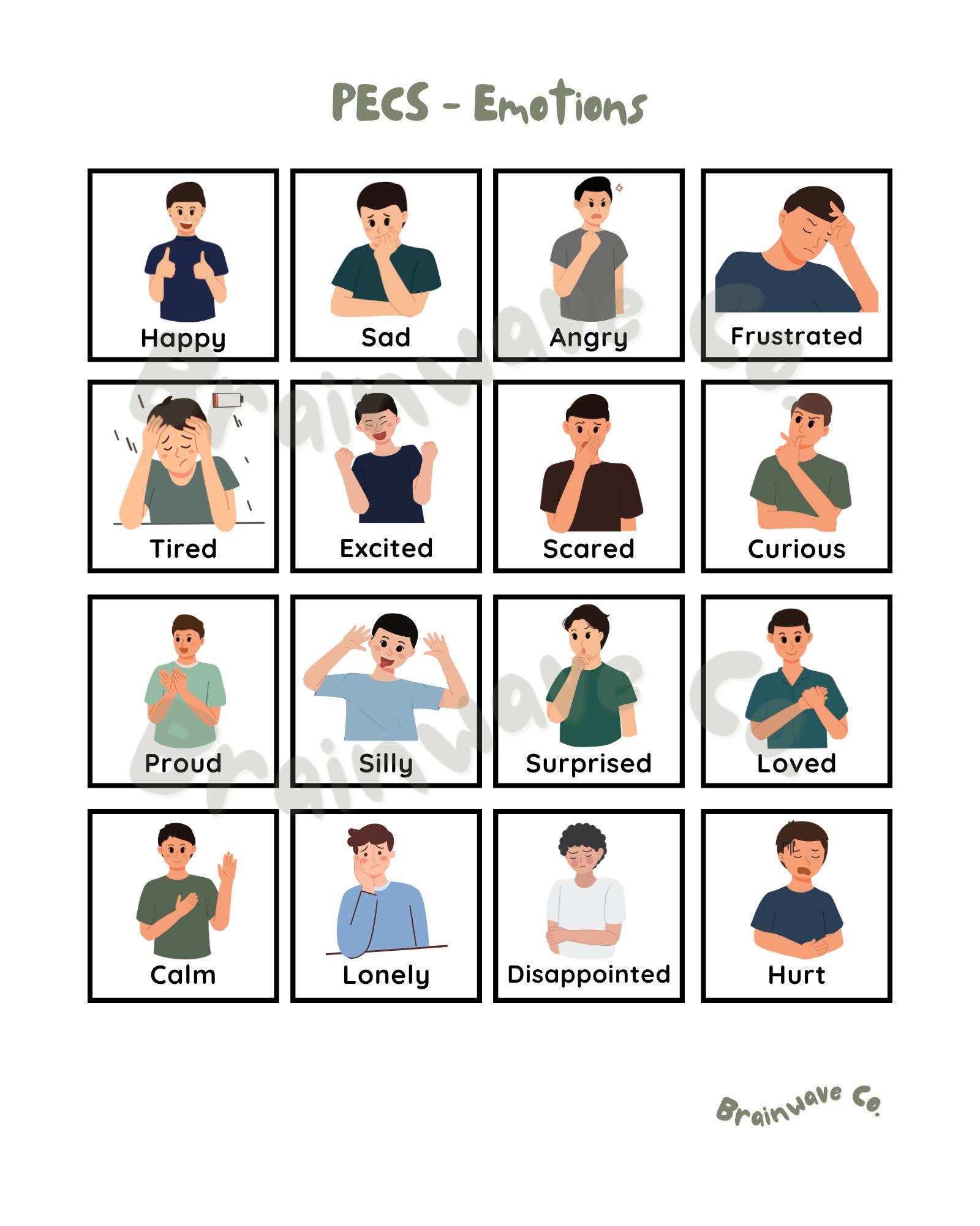 PECS Emotions - Etsy