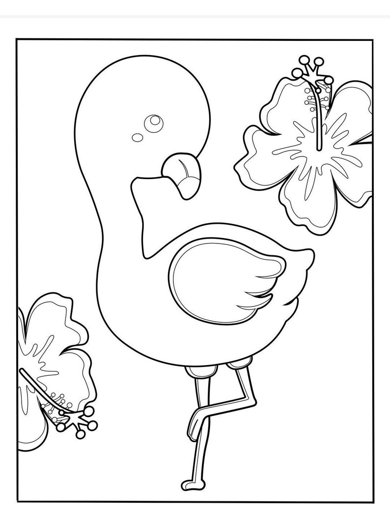 12 Pages Summer Flamingos Coloring Pages for Kids Children Boys and ...