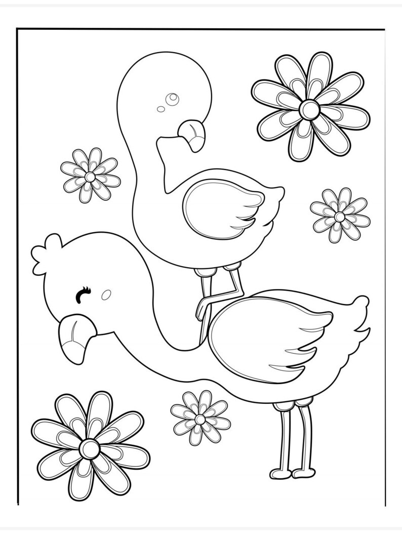 12 Pages Summer Flamingos Coloring Pages for Kids Children Boys and ...