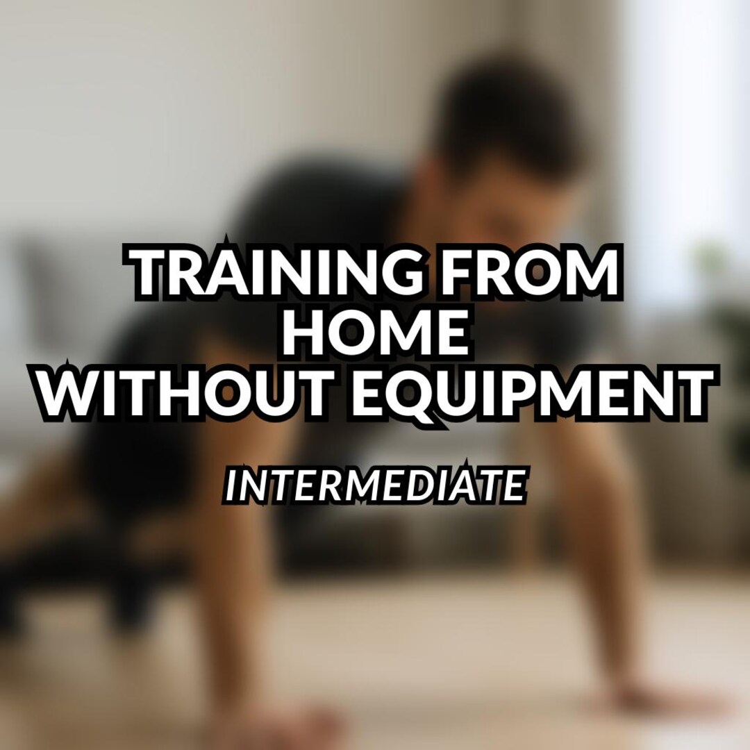7-day Home Workout Plan for Men | Bodyweight Fitness PDF | No Equipment ...