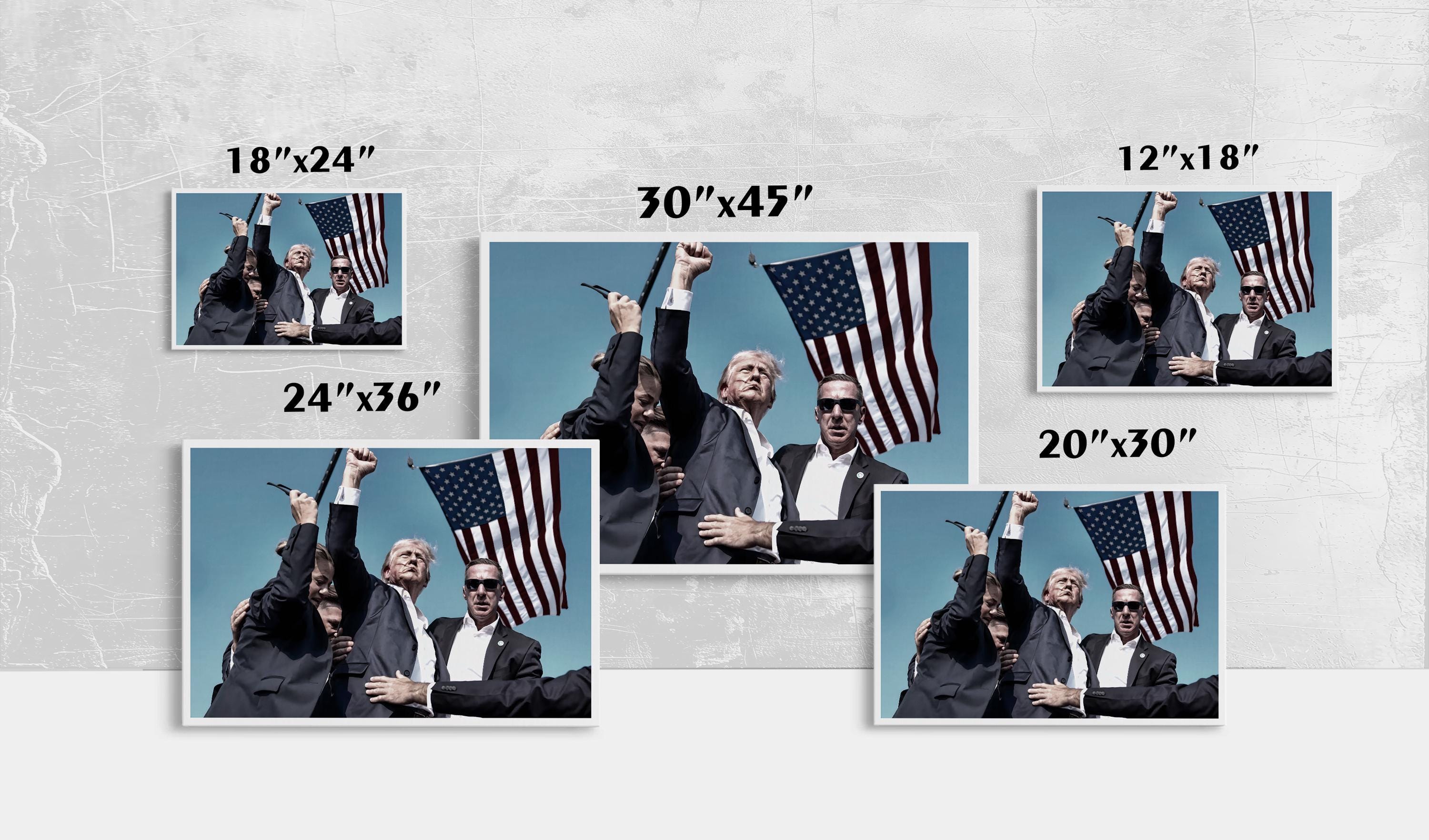 Trump President Poster, Fight Posters, Trump Art, Donald Trump Art ...