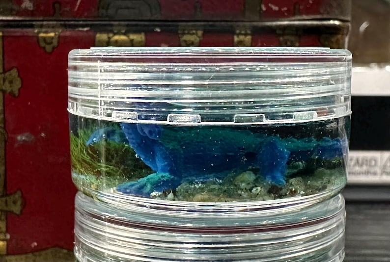 Nessie Pocket Cryptids Handmade Diorama Cryptid Craftwork; Loch Ness ...