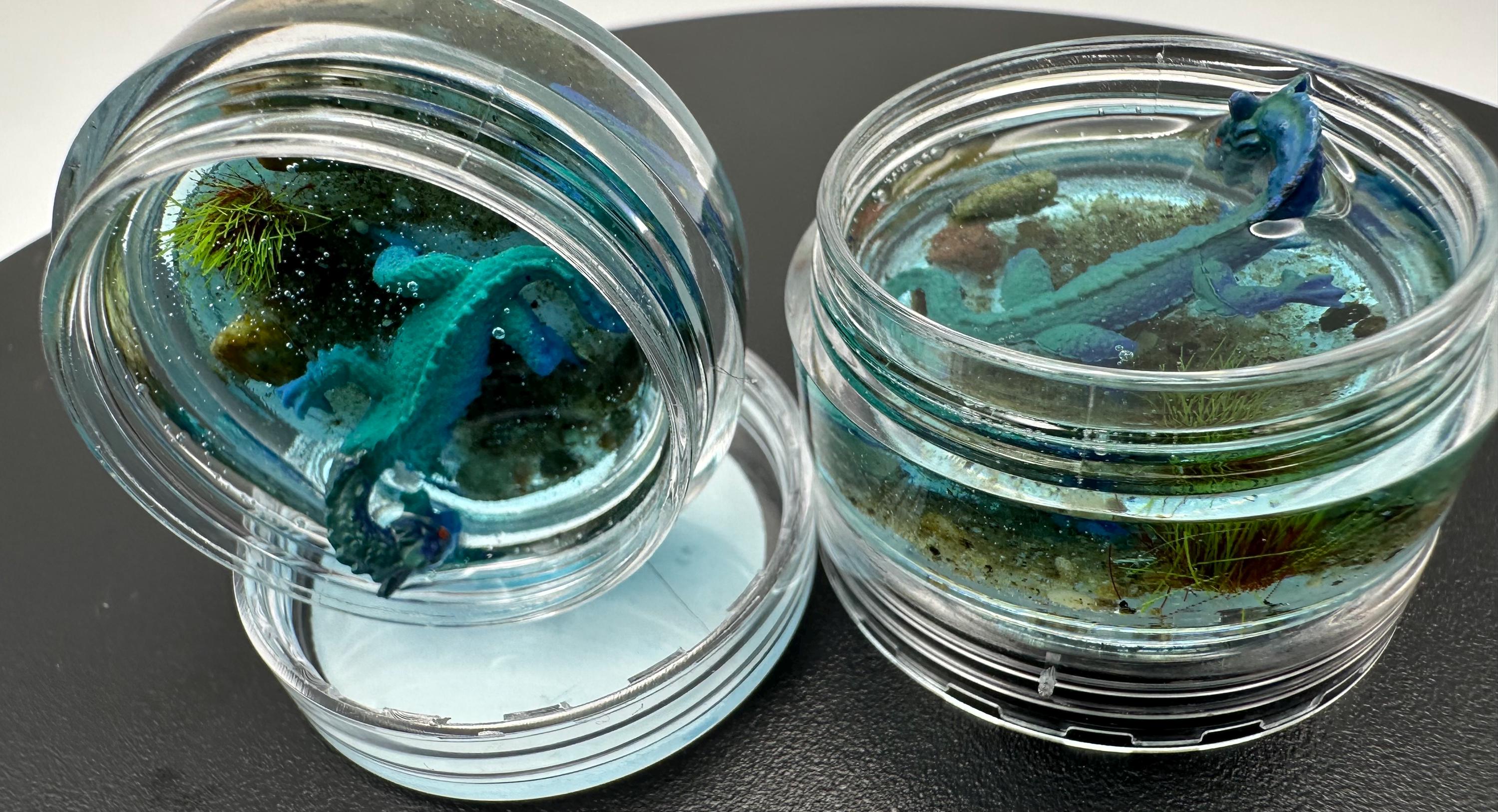 Nessie Pocket Cryptids Handmade Diorama Cryptid Craftwork; Loch Ness ...