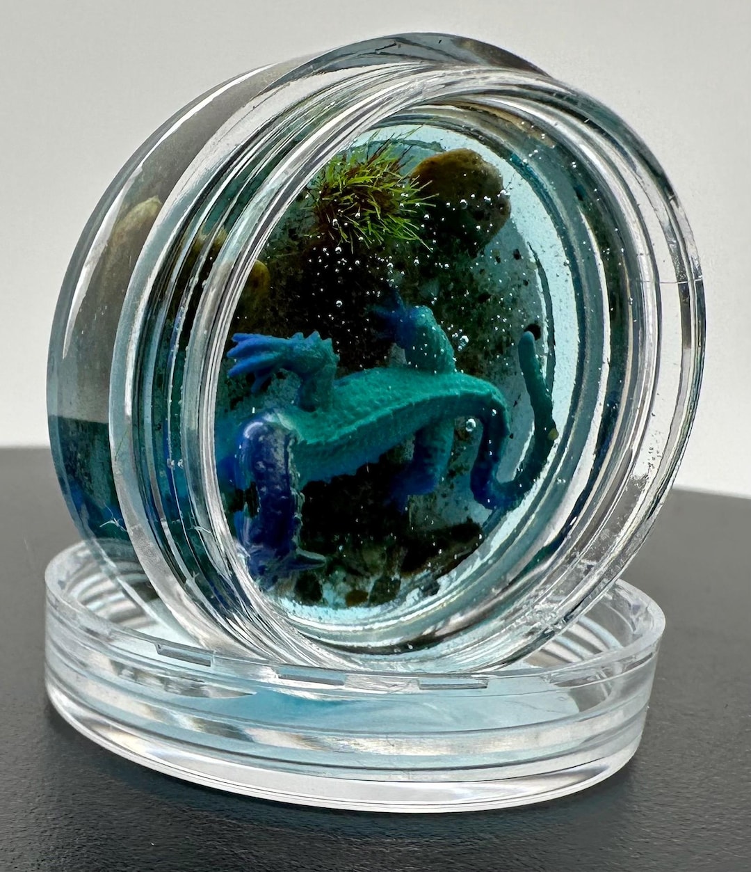 Nessie Pocket Cryptids Handmade Diorama Cryptid Craftwork; Loch Ness ...