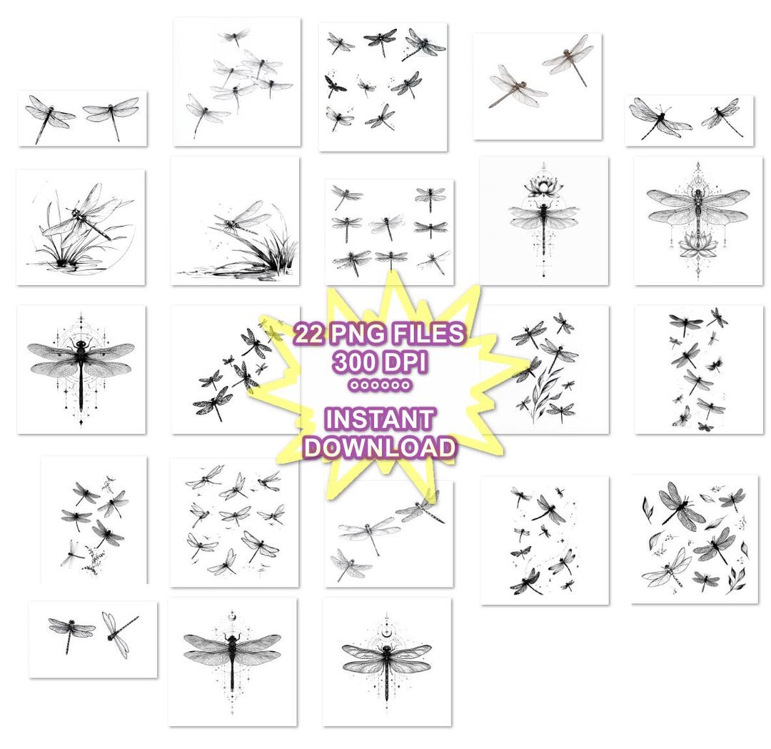 Celestial Dragonfly Clipart PNG Bundle (digital Download) - Etsy