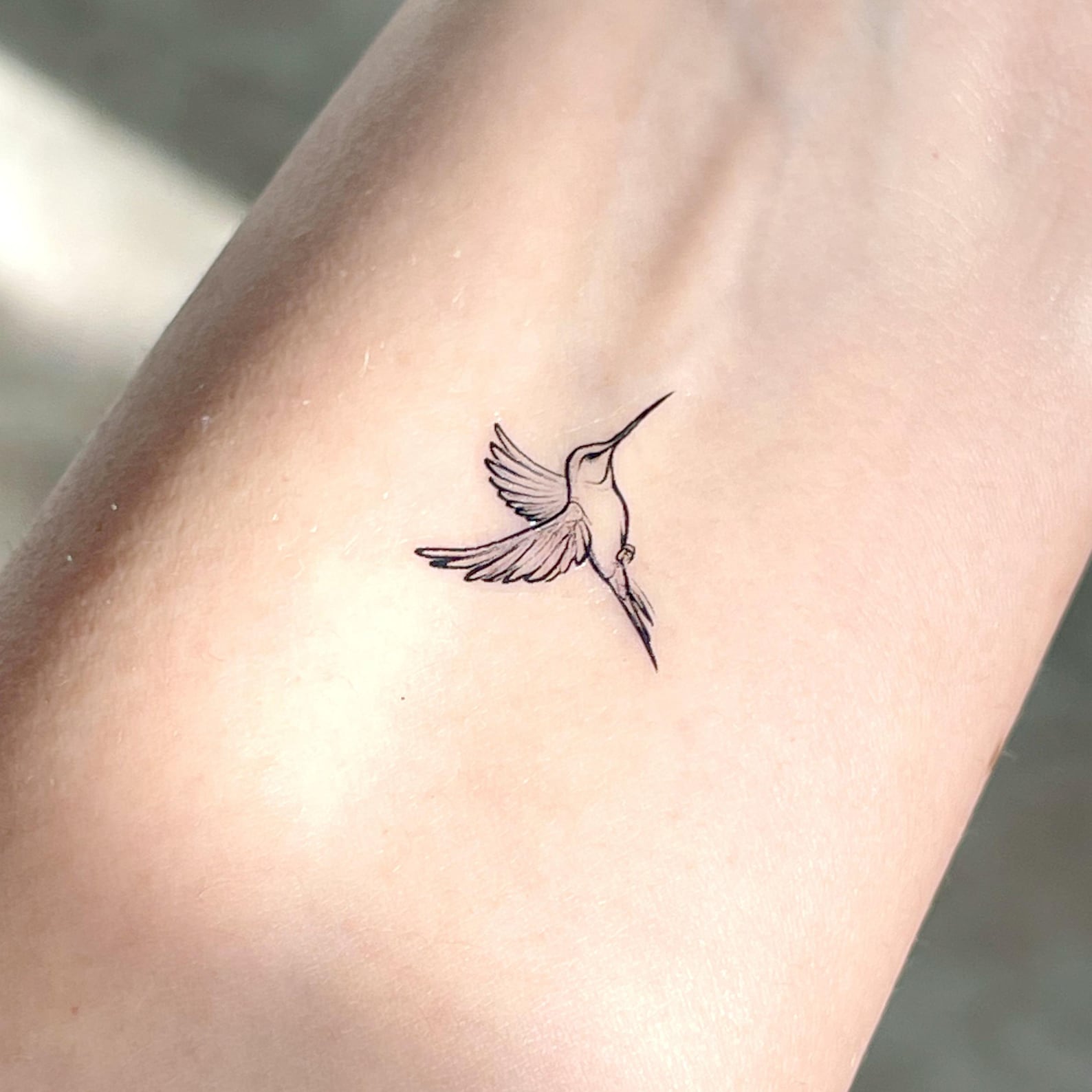 Tatuaje temporal de colibrí con motivos de pequeños pájaros negros ...