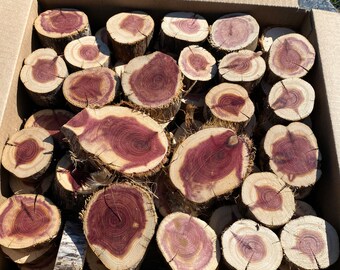 Cedar Rounds | Debarked Cedar Slices | Wooden Cookie Rounds | Wood ...