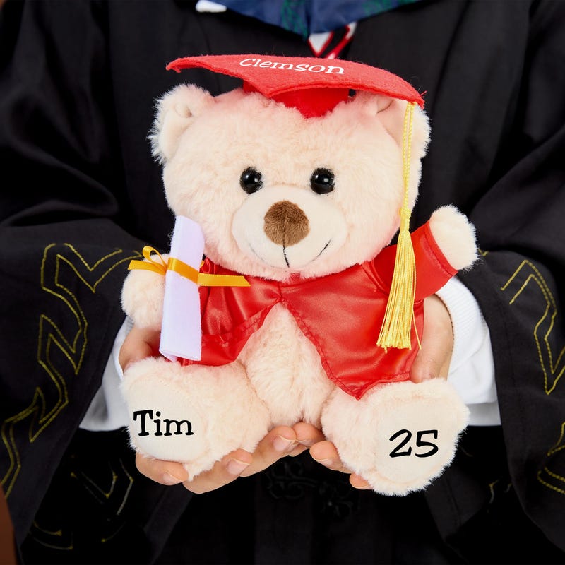 Personalized Graduation Teddy Bears - Etsy