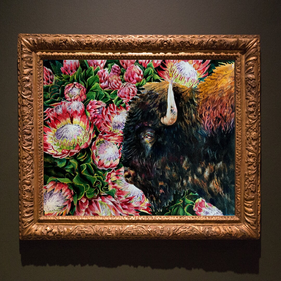 Buffalo Bison Protea Floral Watercolor 8x10" Giclee Print "buffalo ...