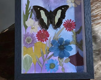 Butterfly Shadow Box custom - Etsy