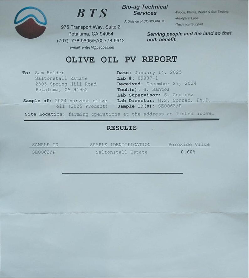 4 Pack - 2024 Harvest Super Premium Olive Oil 652mg/kg Polyphenols - Etsy