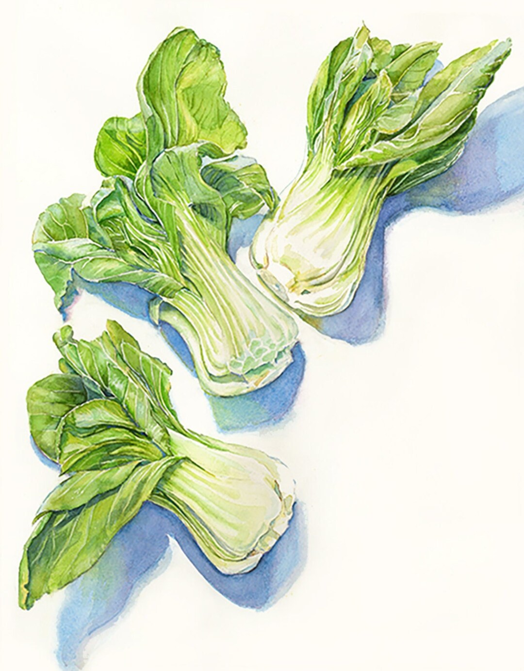 Bok Choy Joy, Vegetable Watercolor Archival Print - Etsy