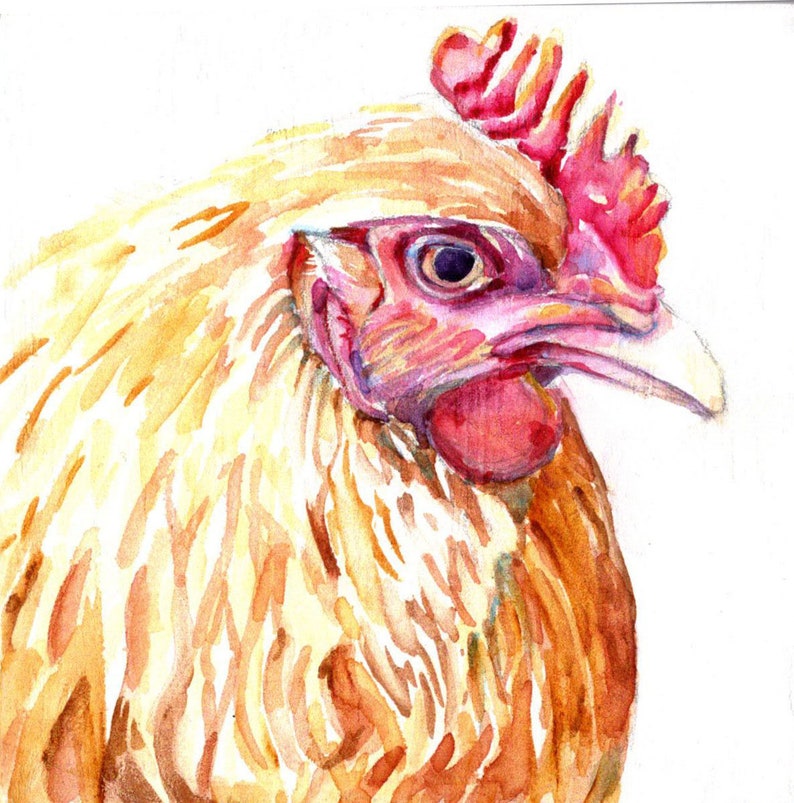 Create a Flock of Chicken Prints, Chicken Gifts, Orpington Hen ...