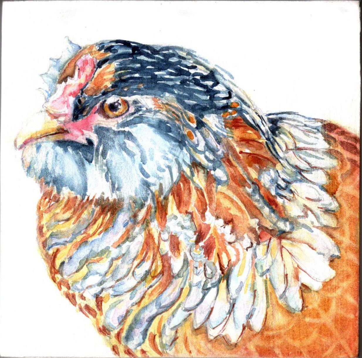 Create a Flock of Chicken Prints, Chicken Gifts, Orpington Hen ...