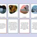 Weather and Climate Educational Flashcards – Atmospheric Science, Cloud ...
