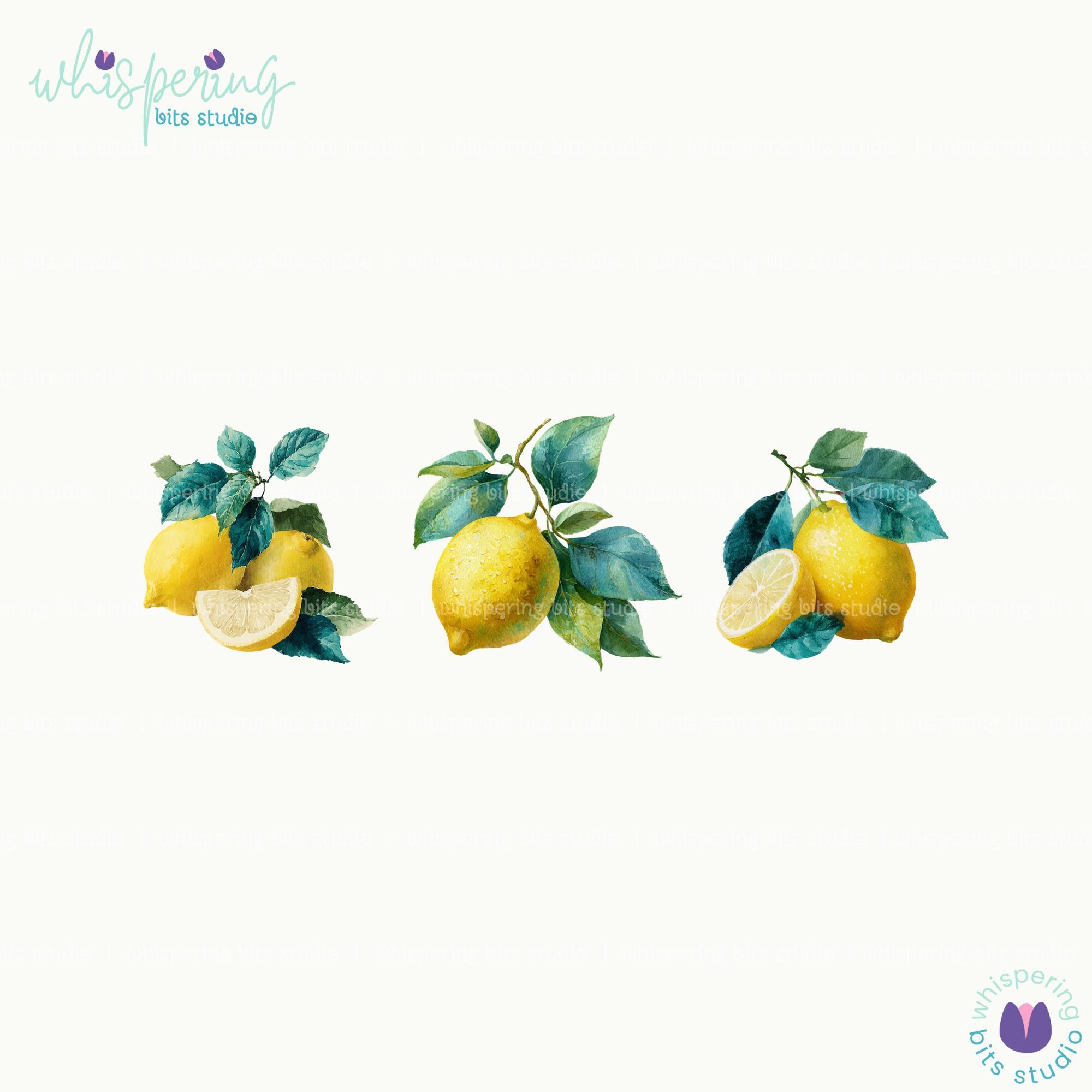 Watercolor Lemons PNG Clipart Set, Lemon Fruit Clipart, Citrus ...