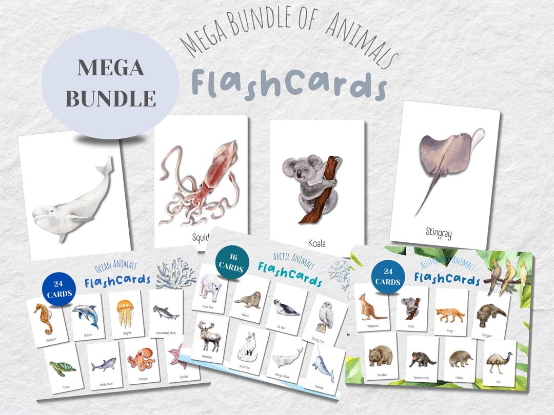 Mega Bundle Animal Flashcards for Kids - Ocean, Arctic & Australian ...