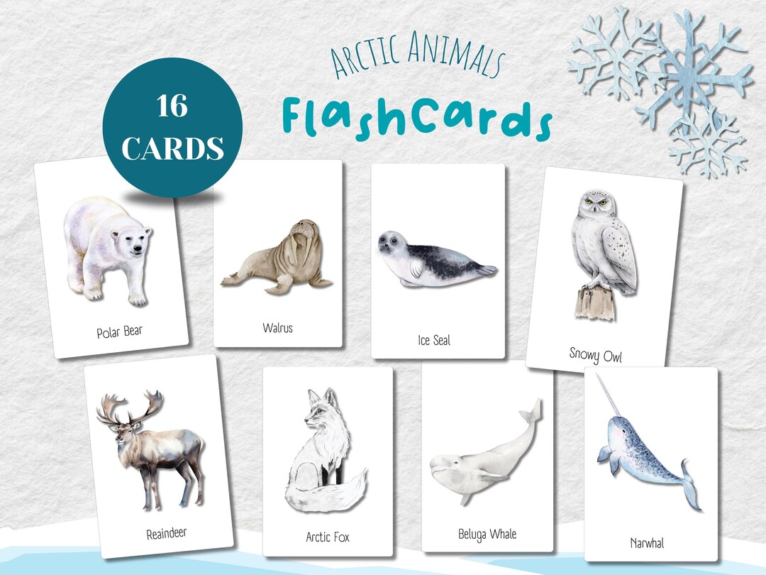Montessori Arctic Animals Flashcards - Educational PDF for Kids | 16 ...