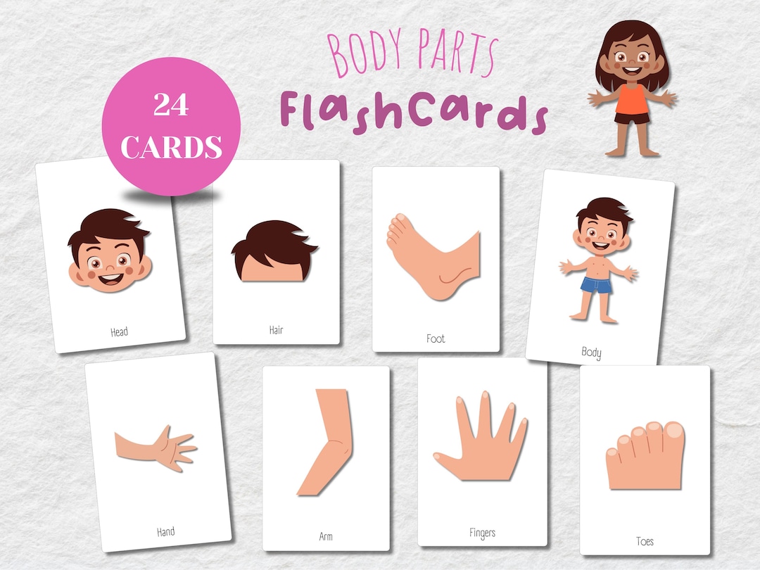 Montessori Body Parts Flashcards - Educational PDF for Kids | 24 Body ...