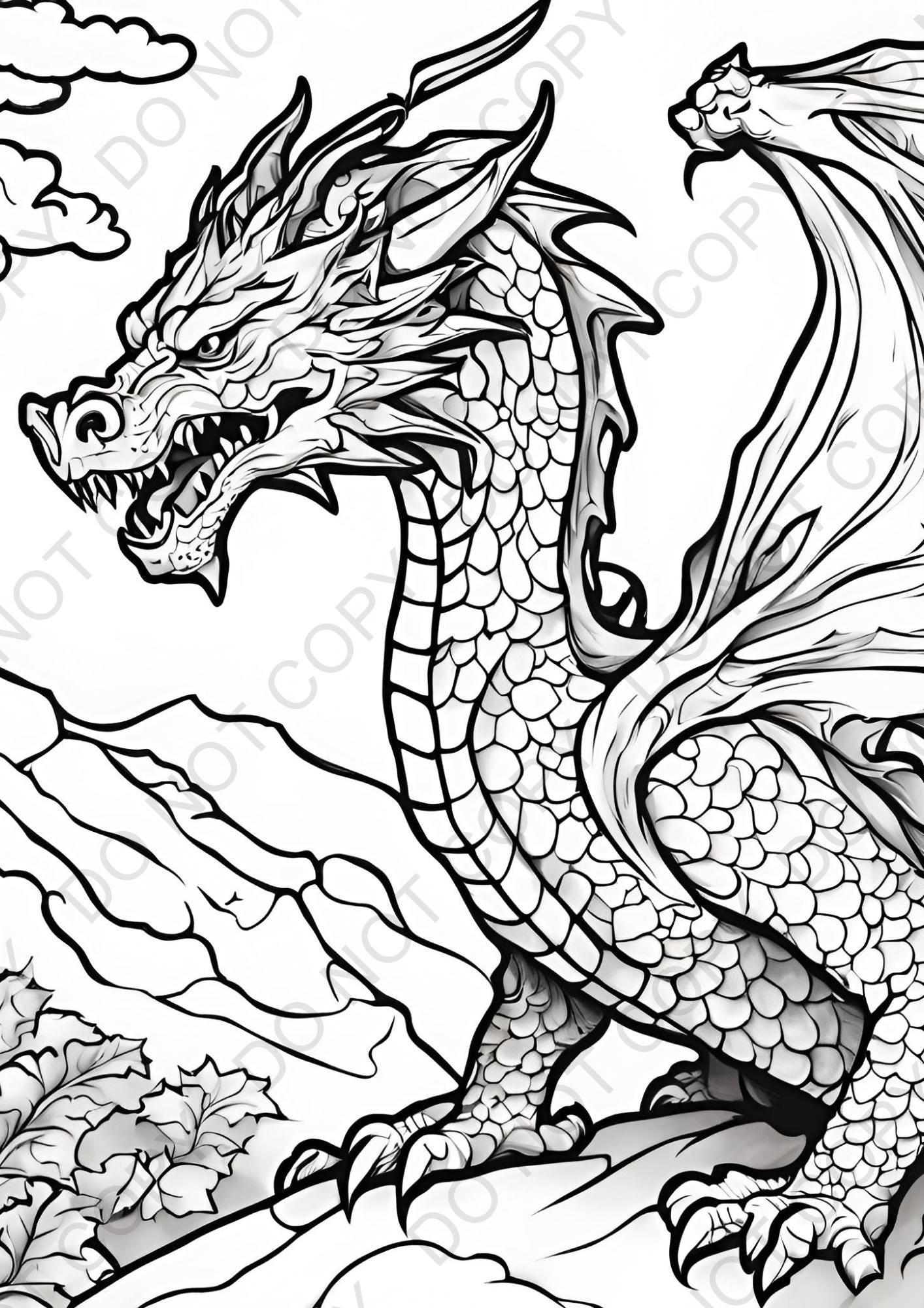 Enchanting Dragon Coloring Pages - Etsy