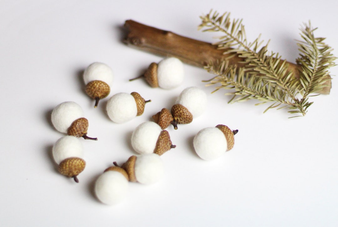 Felted Acorns - Set of 10 in Snow White - Etsy