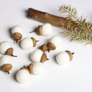 Felted Acorns - Set of 10 in Snow White - Etsy