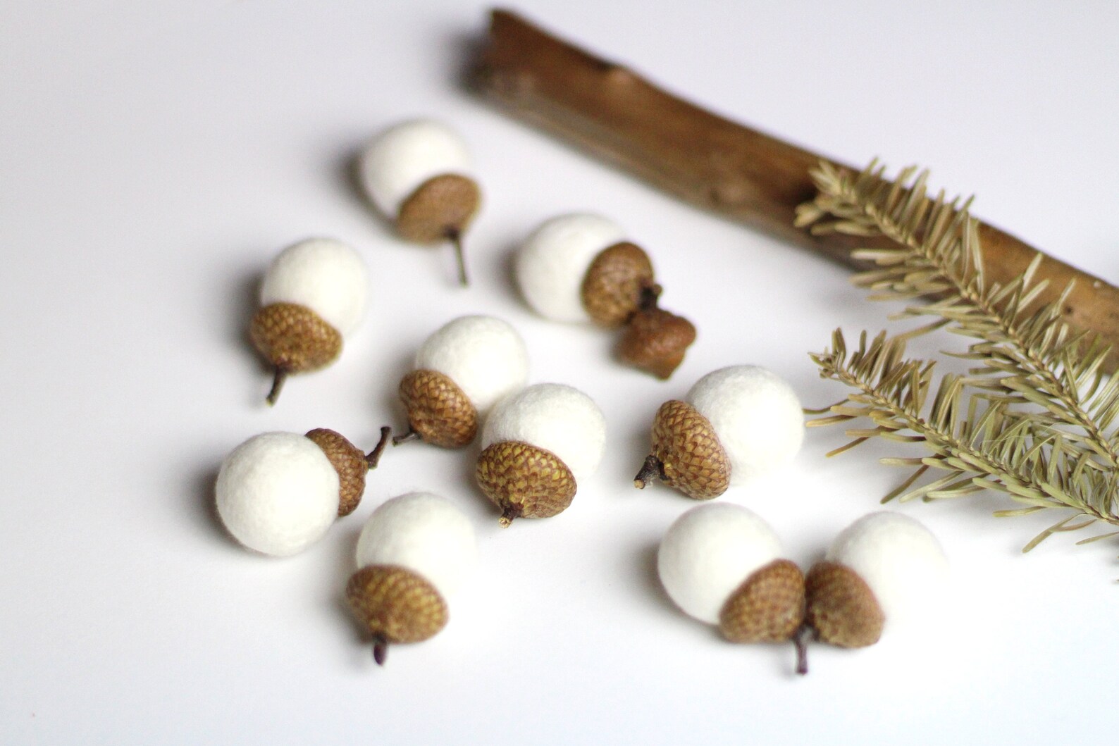 Felted Acorns Set of 10 in Snow White - Etsy