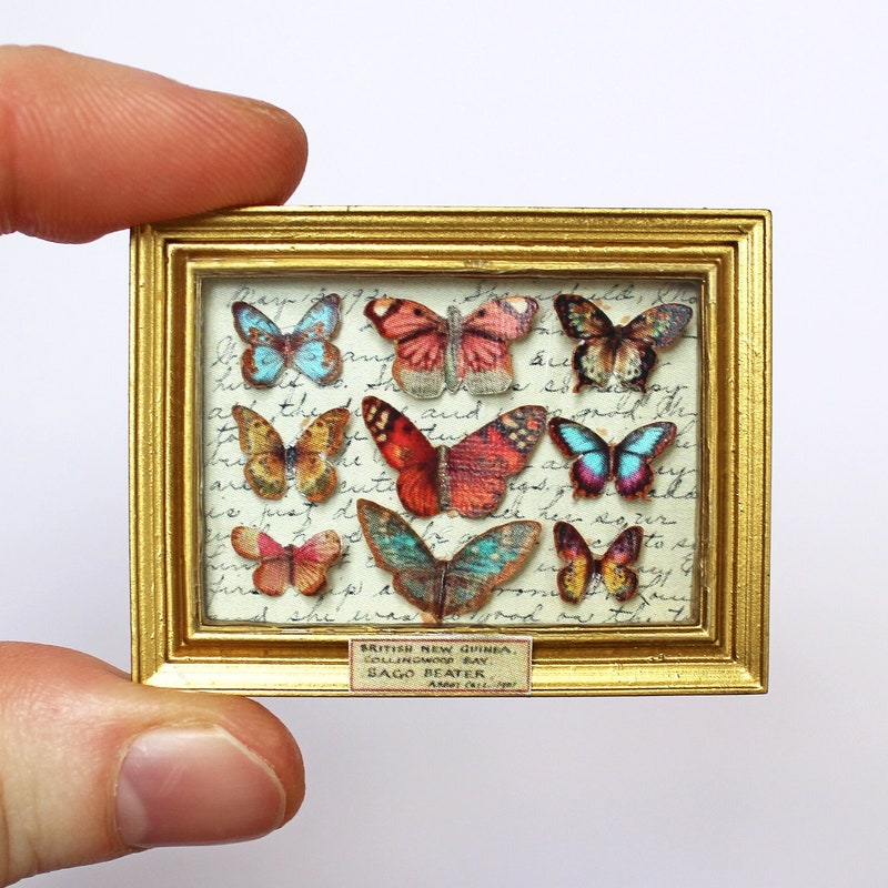 Butterfly Collection - Etsy