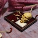 Miniature Human Bone Museum Display - Etsy