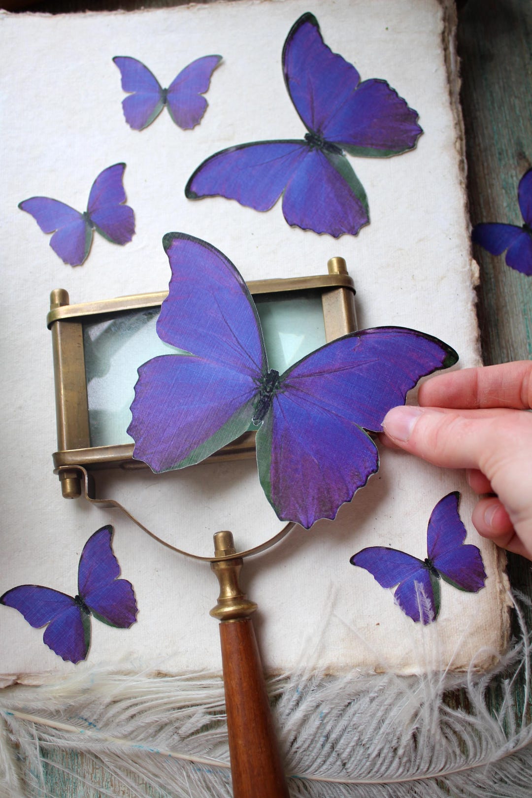 Amethyst Morpho Butterflies Pre-cut Paper Butterflies • Gothic ...