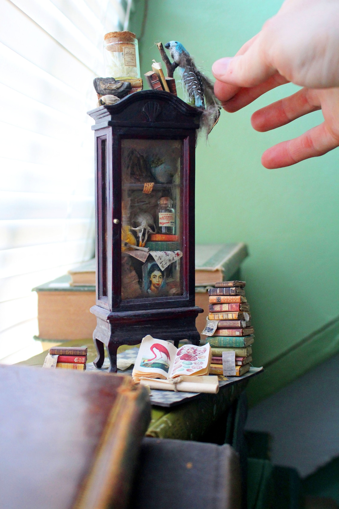 Miniature Cabinet of Curiosity - Handcrafted Display of 1-inch Scale ...
