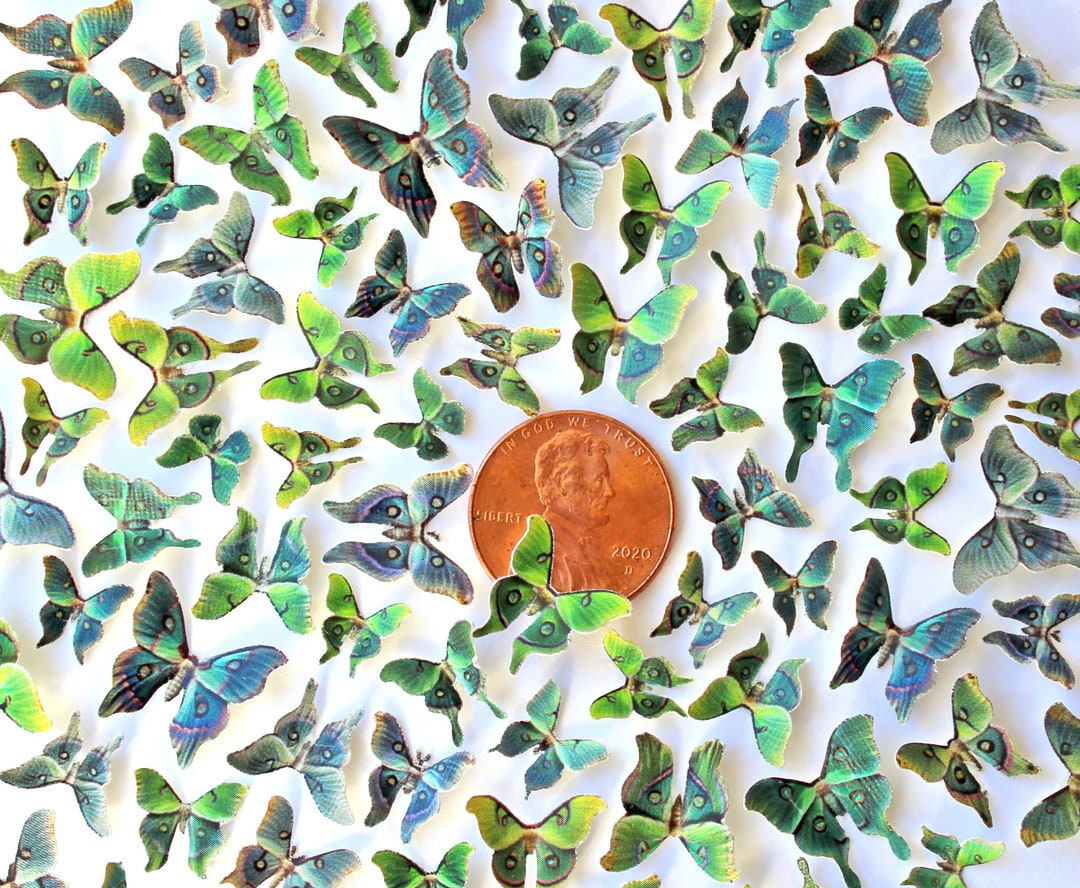 Miniature Realistic Paper Luna Moths for Dollhouses, Jewelry Making ...