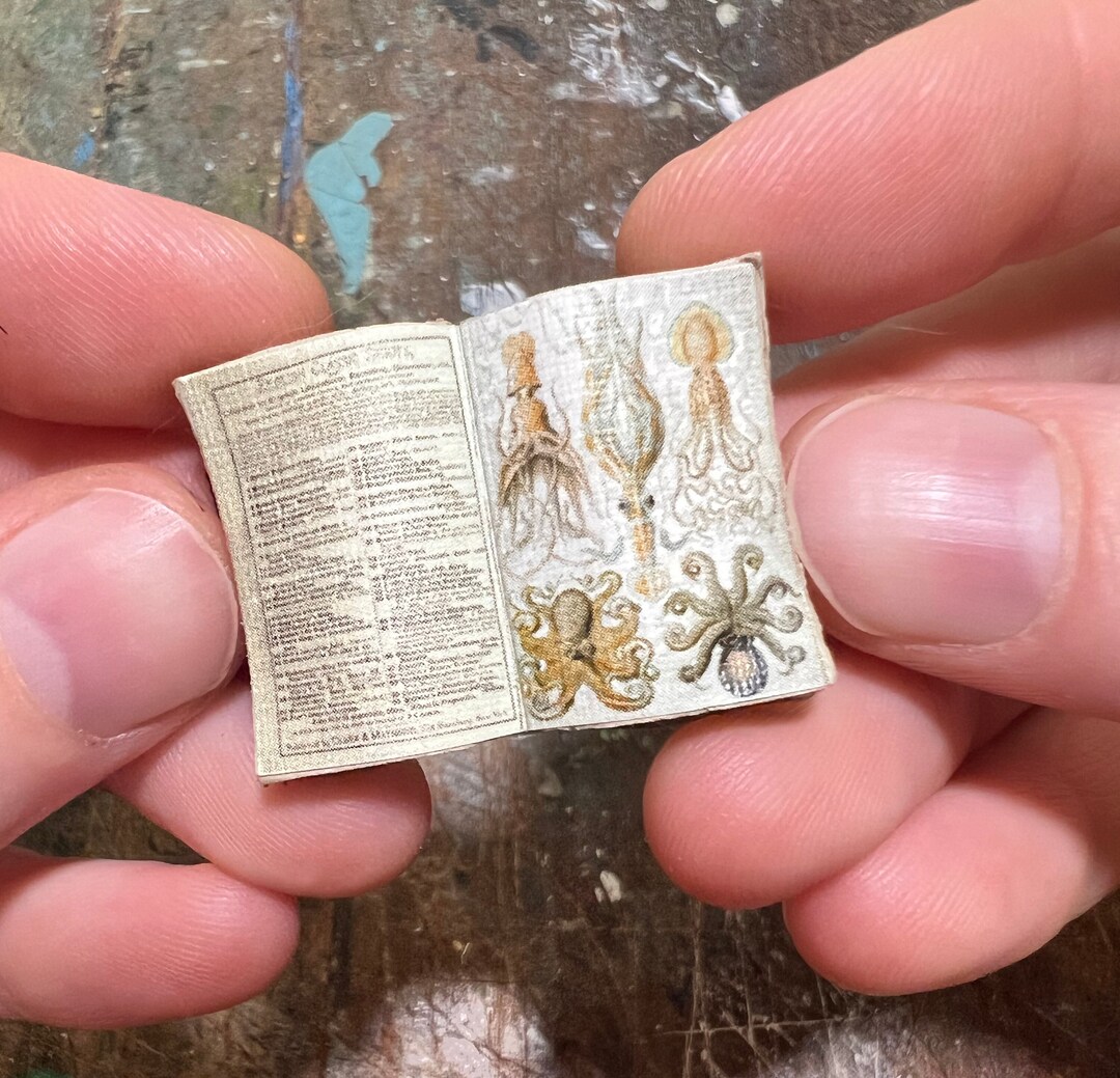 Handmade Miniature Open Book --- Octopus - Etsy