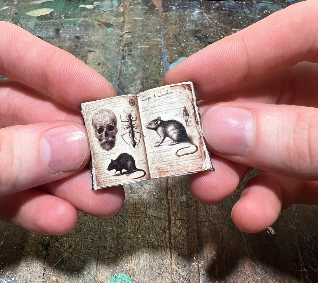 Miniature Rats & Skull Book – 1:12 Scale Dollhouse Apothecary - Etsy