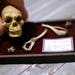 Miniature Human Bone Museum Display - Etsy