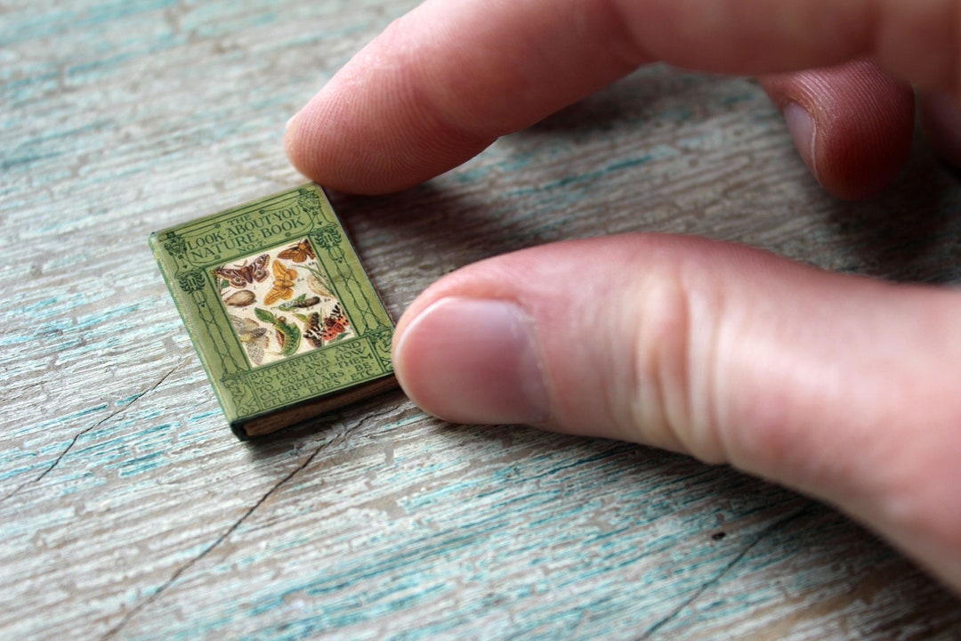 Handmade Miniature Book --- the Look About You Nature Book - Etsy