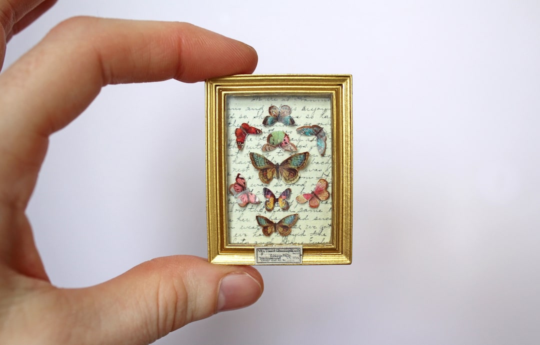 Special Edition Miniature Butterfly Specimen Collection in Gold Frame ...